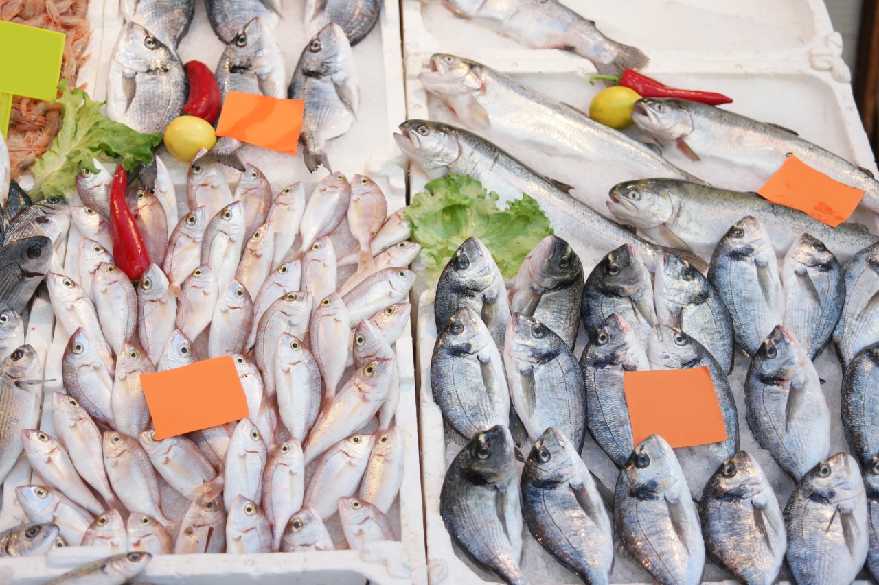 Tipos y técnicas de congelación de alimentos - Mariscos Apolo Tipos y técnicas de congelación de alimentos - Mariscos Apolo